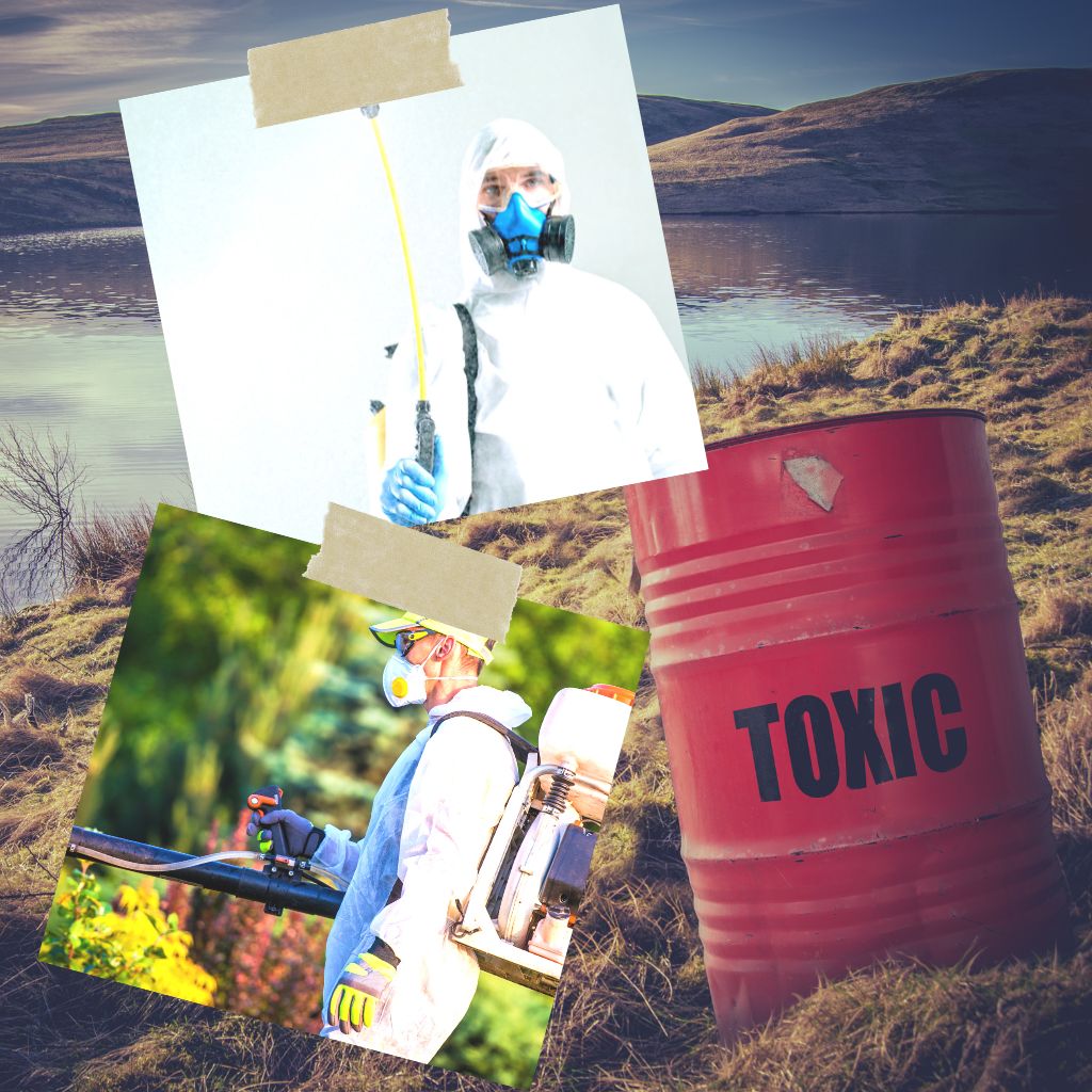 How To Find Safe Clothing to Avoid Endocrine Disruptors, Obesogens ...